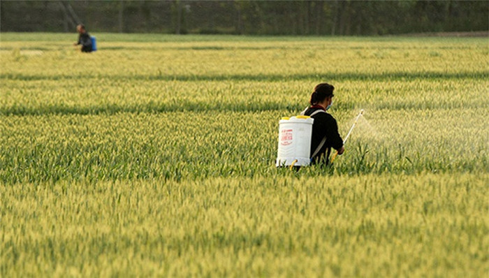 农业部：12种高毒农药5年内全部禁用|界面新闻 · 中国